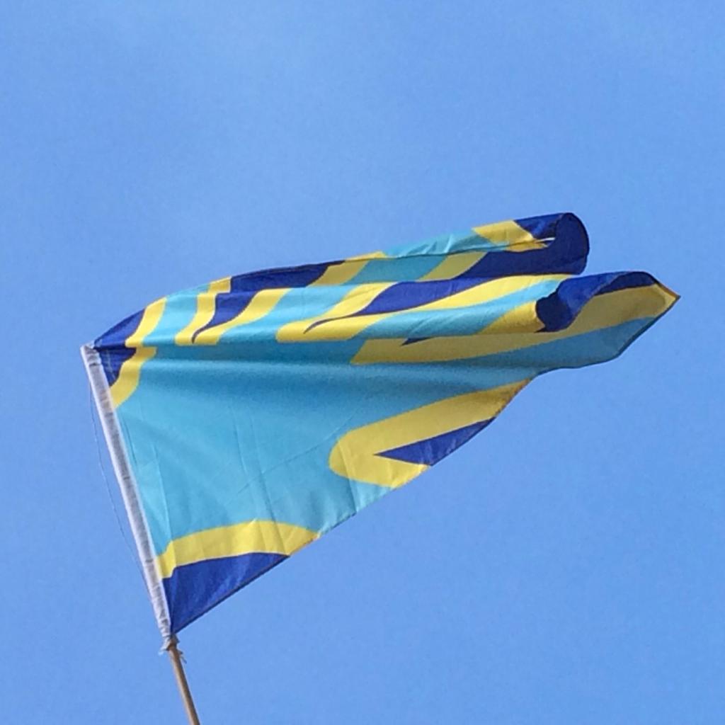 Deaf Flag – IMASIGNE